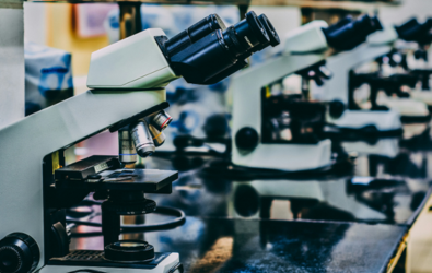 Find scientific food information you can trust, fast | IFIS